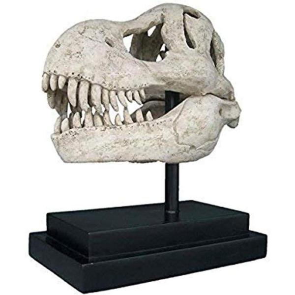 Design Toscano T-Rex Dinosaur Skull Fossil Statue on Museum Mount(T-Rex ...