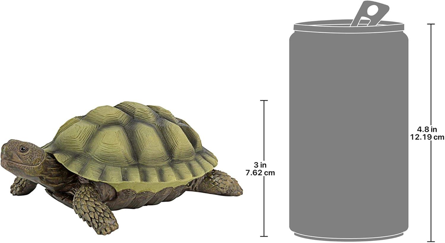 Design Toscano QM1887611 Gilbert the Box Turtle Garden Decor Animal ...