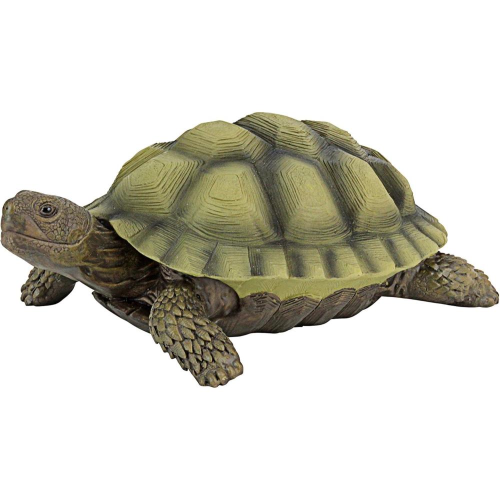 Design Toscano QM1887611 Gilbert the Box Turtle Garden Decor Animal ...